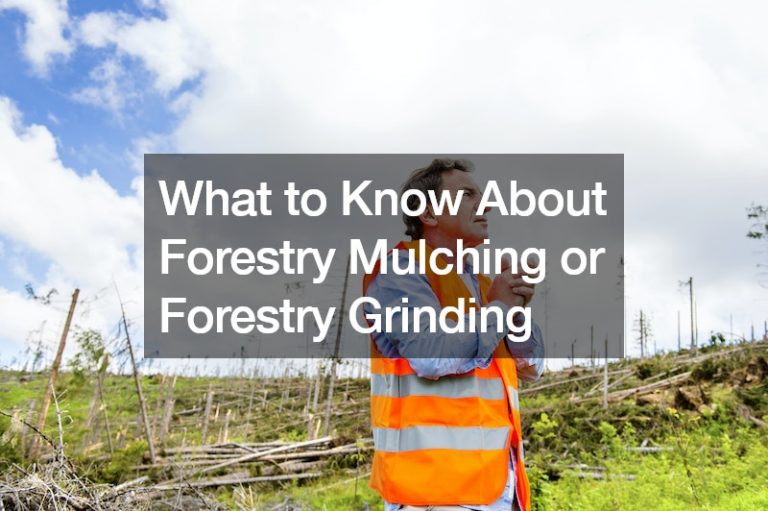 Alabama Wild Man - Alabama Wild Man