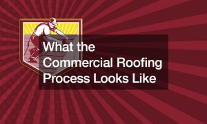 Alabama Wild Man - Alabama Wild Man